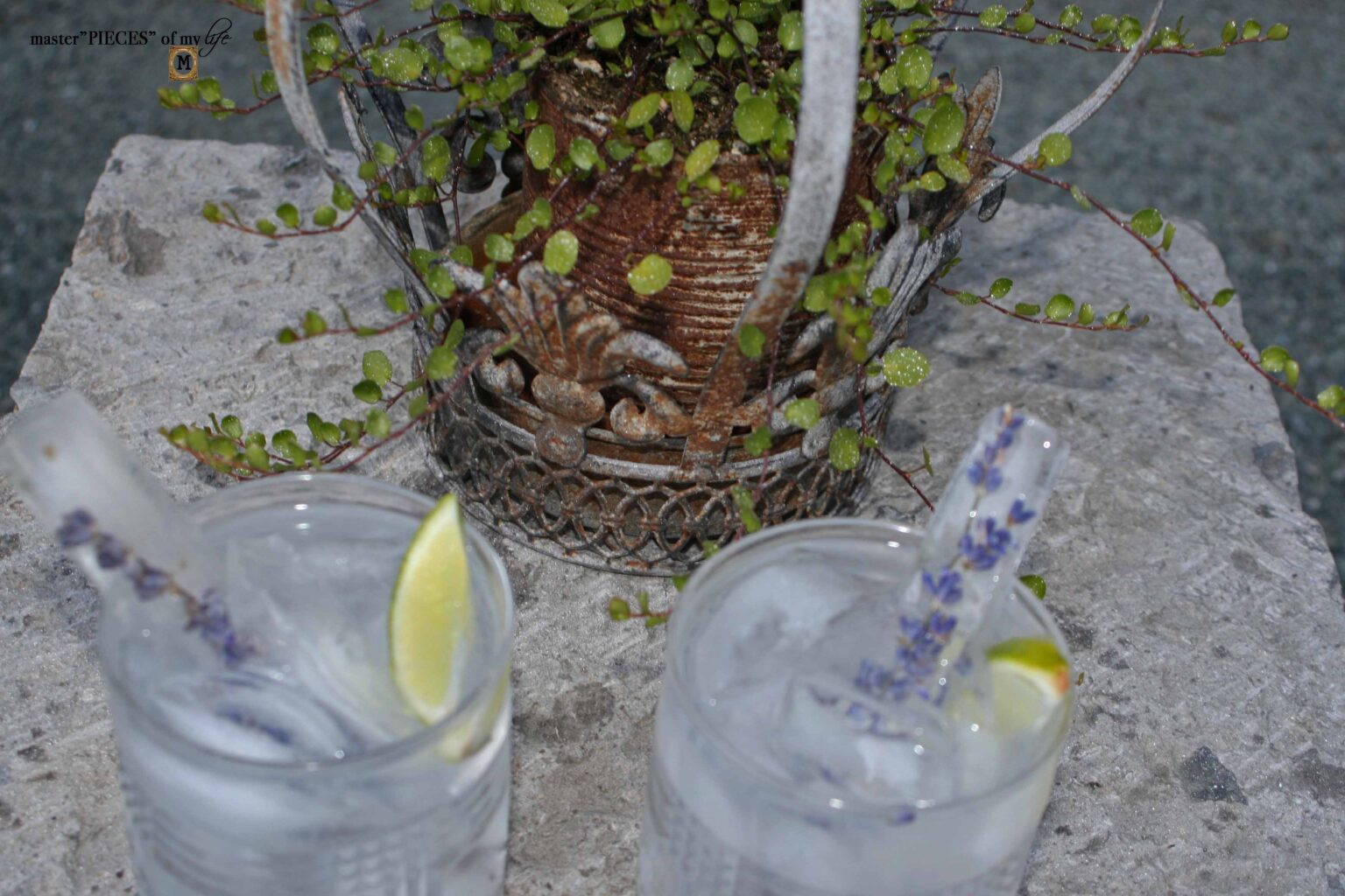 How to UP your Gin & Tonic Game at Home - Master"Pieces" of my Life