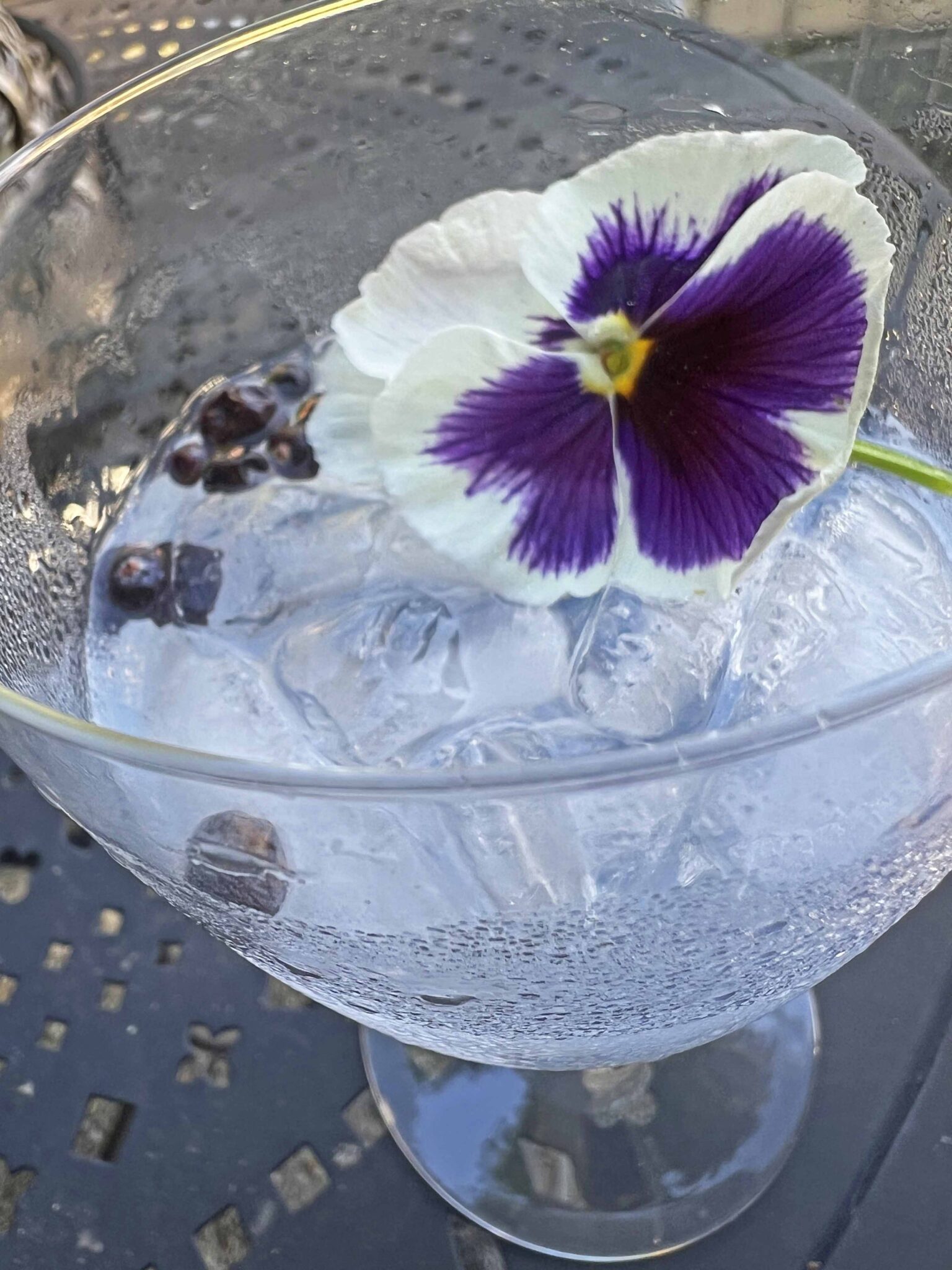 How to UP your Gin & Tonic Game at Home - Master"Pieces" of my Life