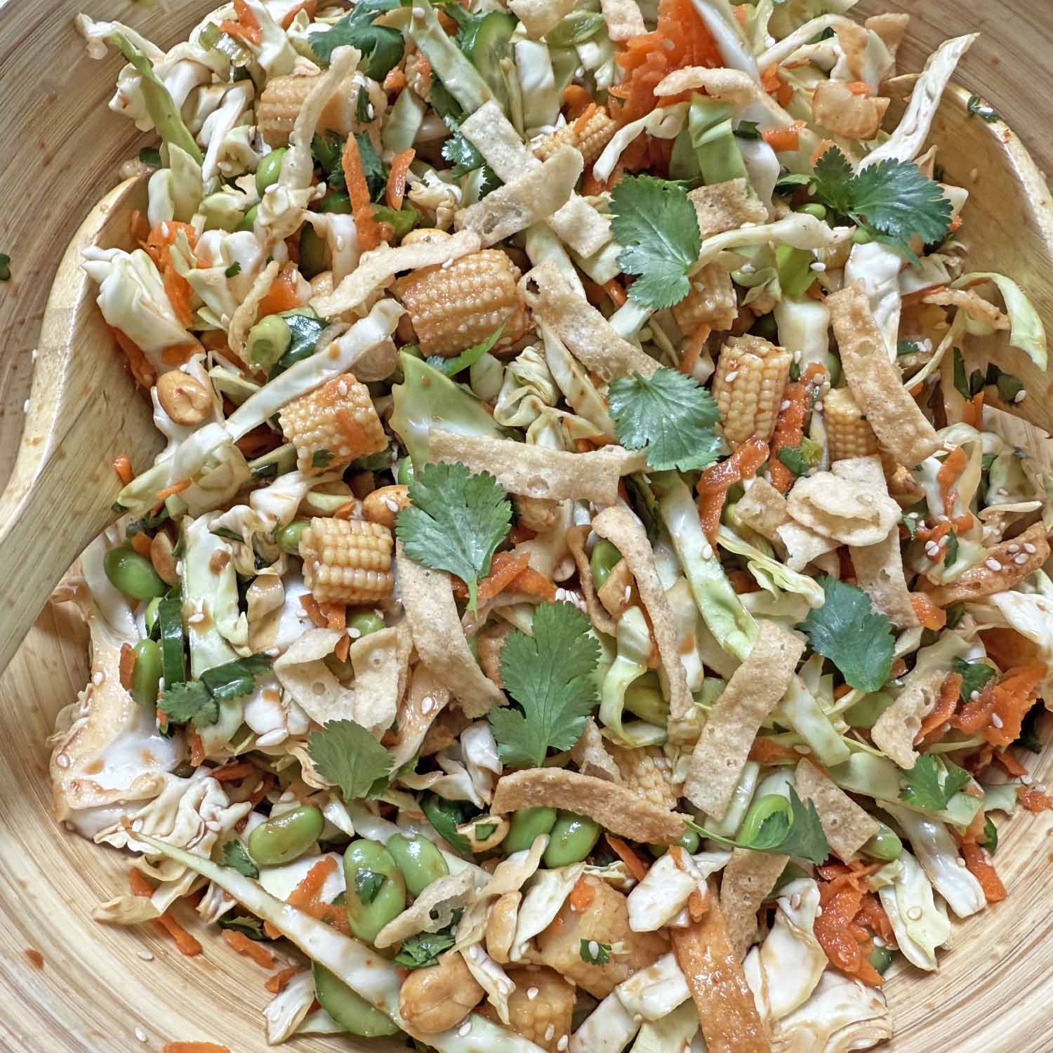 Fresh Asian Chopped Salad Recipe - Master"Pieces" of my Life